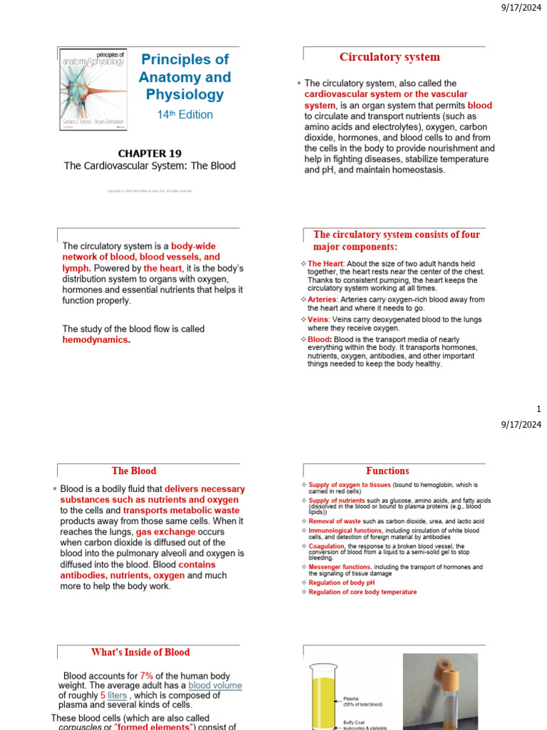 Blood Handouts | PDF | Blood Type | White Blood Cell