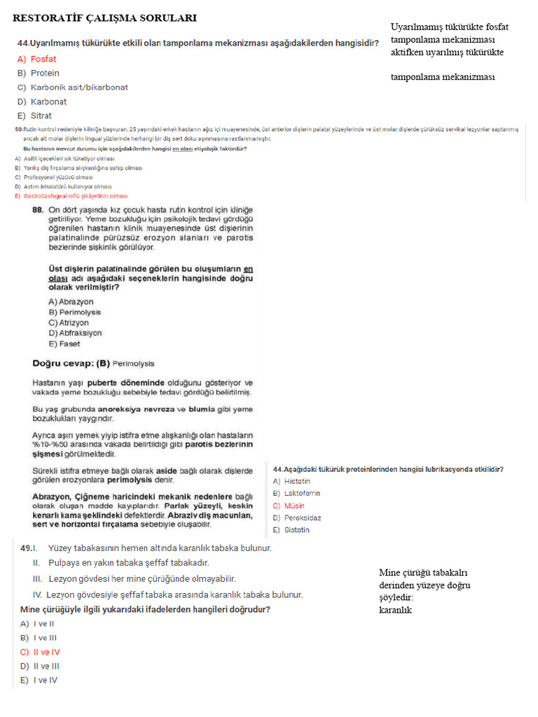 Kişisel Notlar | PDF