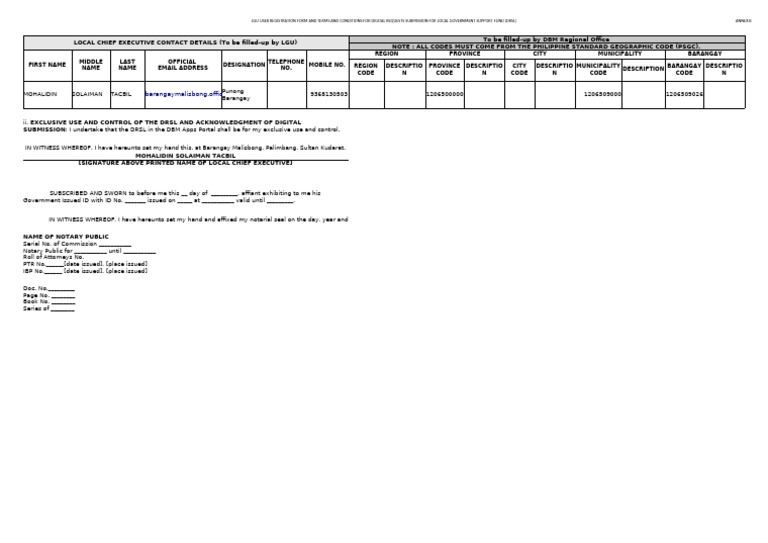 ANNEX B LGU User Registration Form | PDF