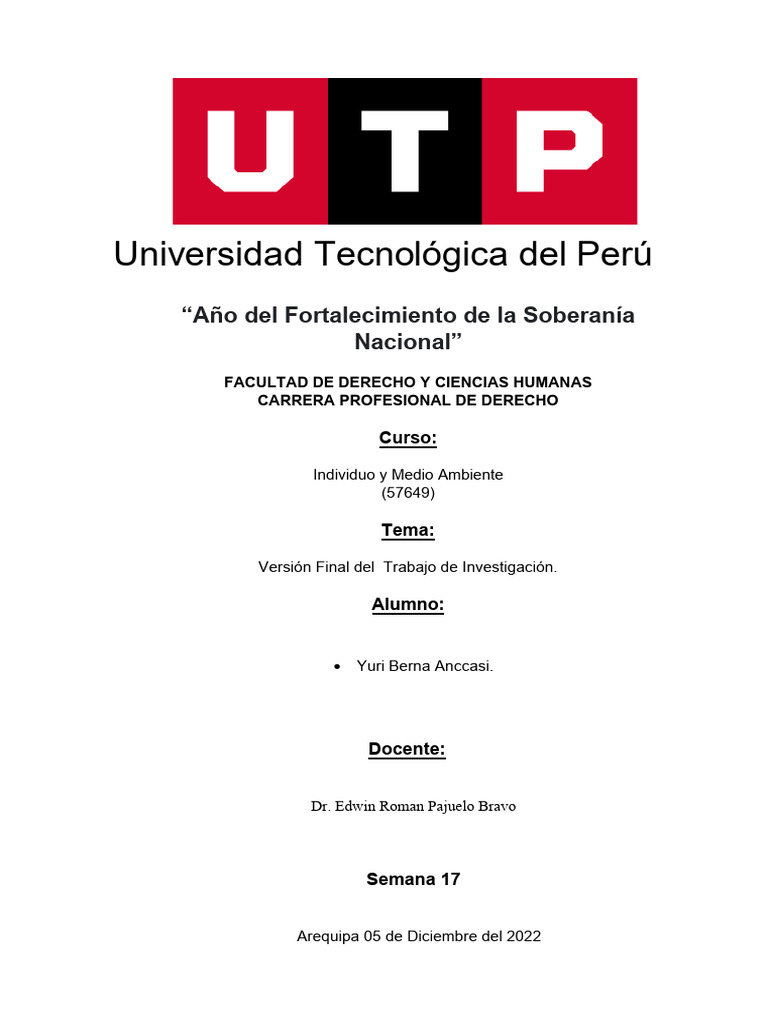 S17 Informefinal | PDF