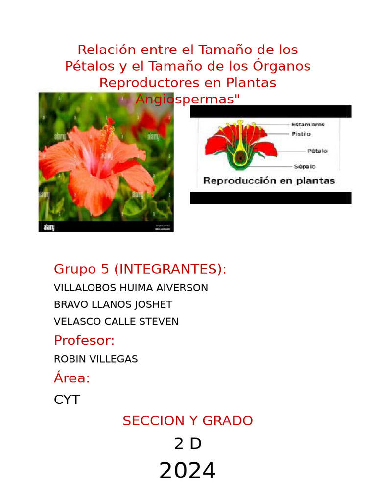 Indagacion de Cyt | PDF