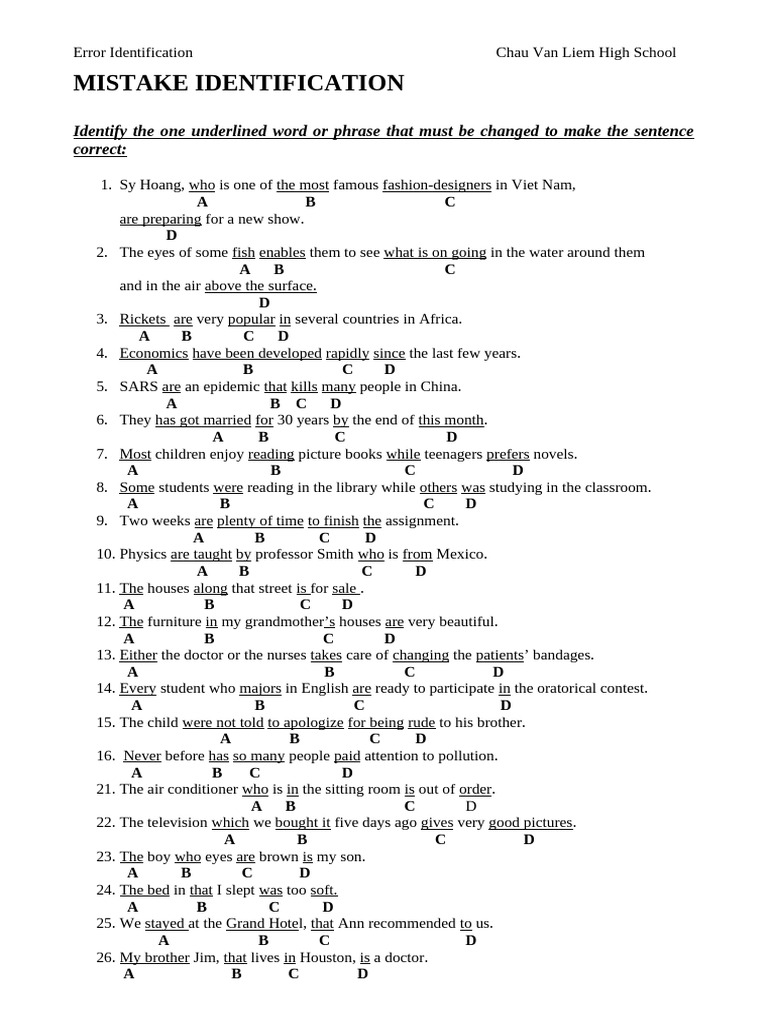 Error Identification | PDF