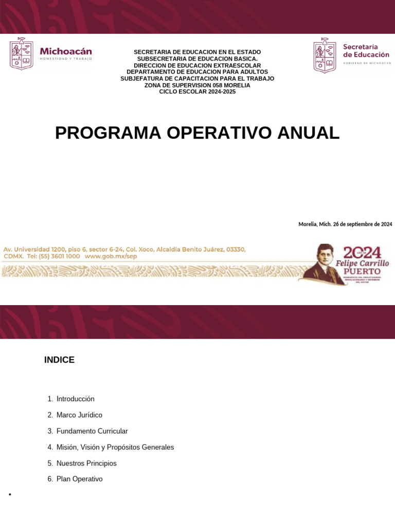 Programa Operativo Anual POA | PDF