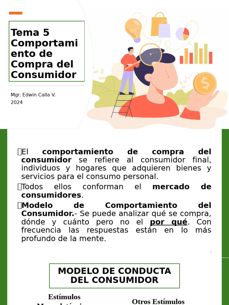 Tema 5. Comportamiento Del Consumidor | PDF