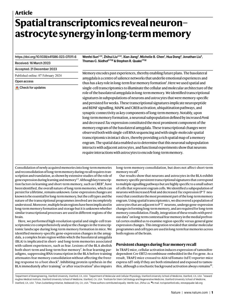 Spatial Transcriptomics Reveal Neuron - Astrocyte Synergy in Long-Term ...