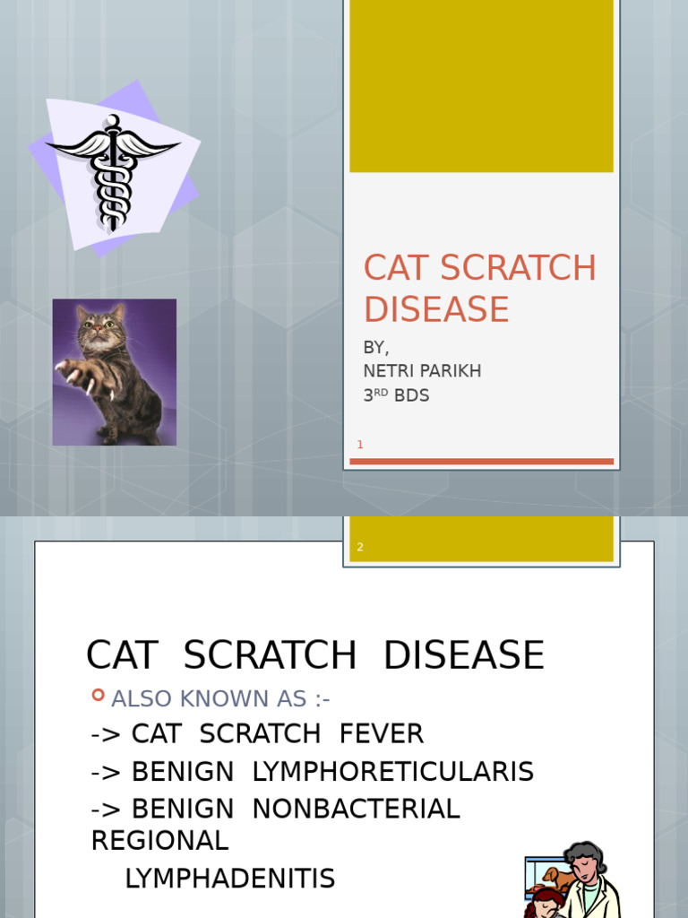 Cat Scratch Disease | PDF