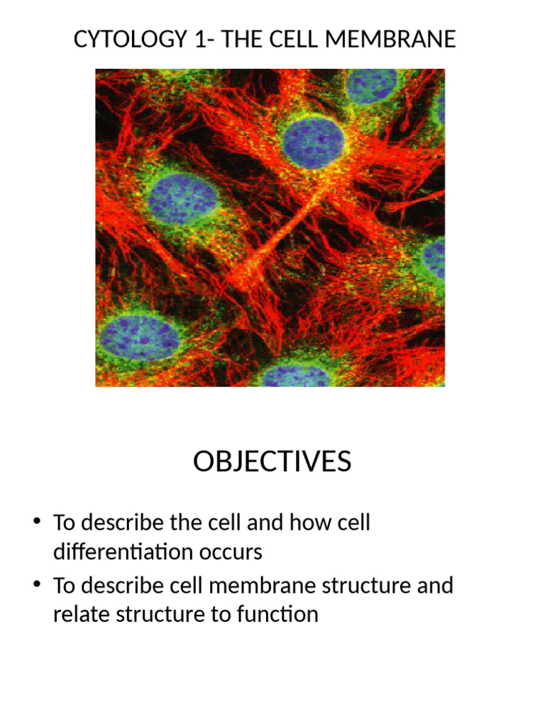 The Cell 1 | PDF