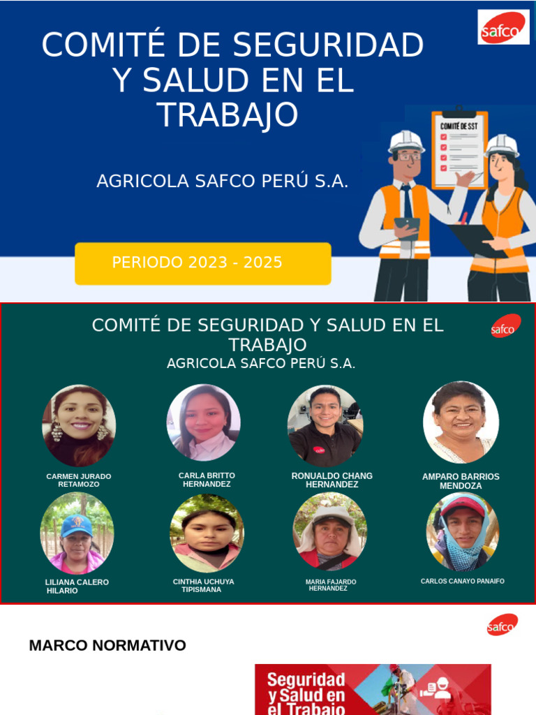 Funciones Del CSST | PDF