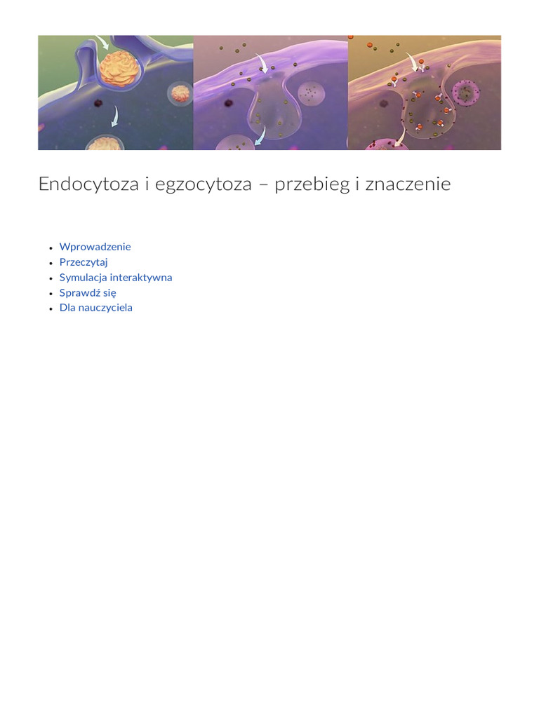 Endocytoza I Egzocytoza Przebieg I Znaczenie | PDF