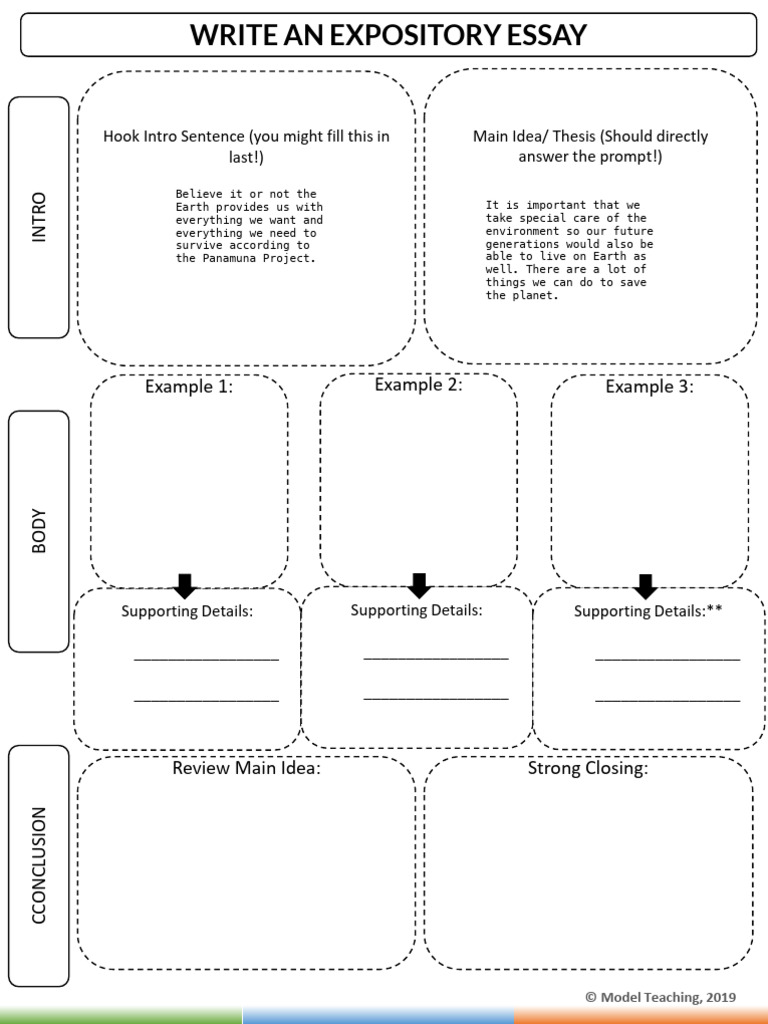 Expository Essay Graphic Organizer | PDF