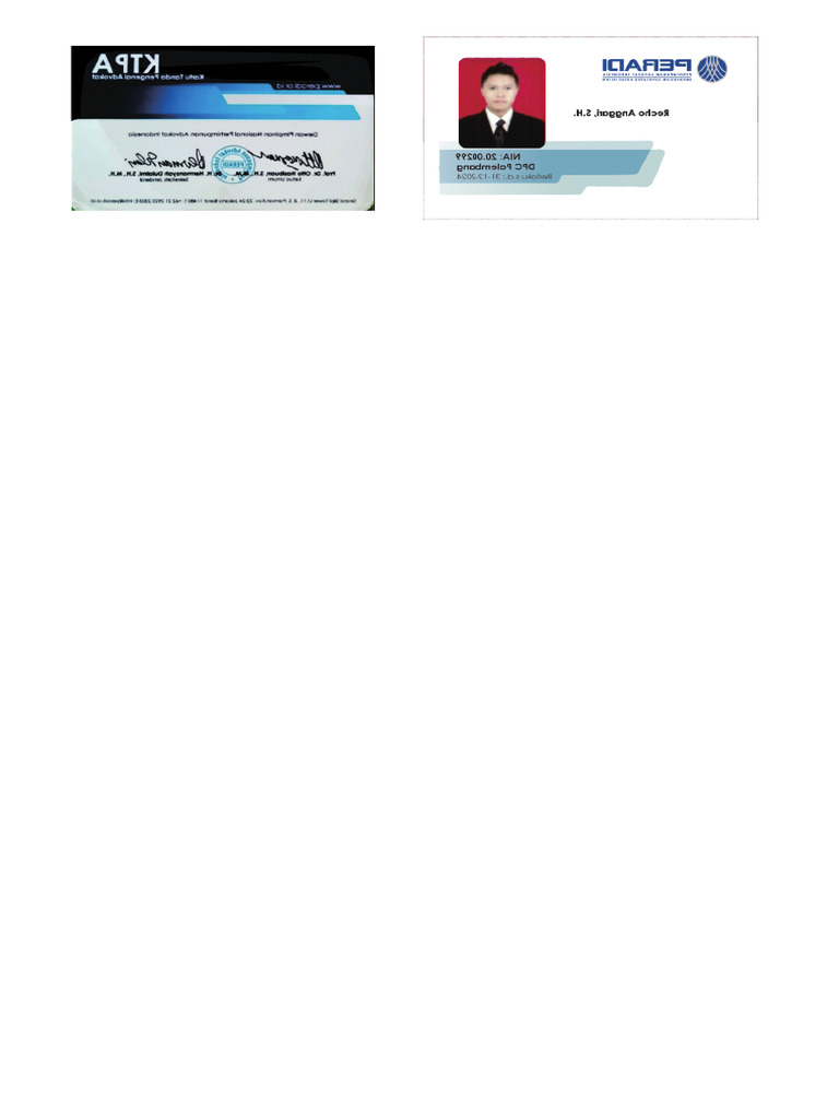 Id Card BB 1 Pcs | PDF