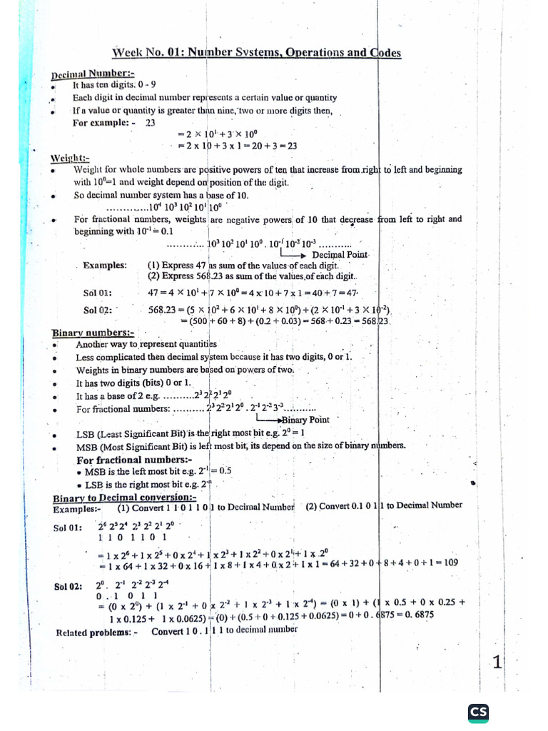 DLD Notes 1-6 Week | PDF