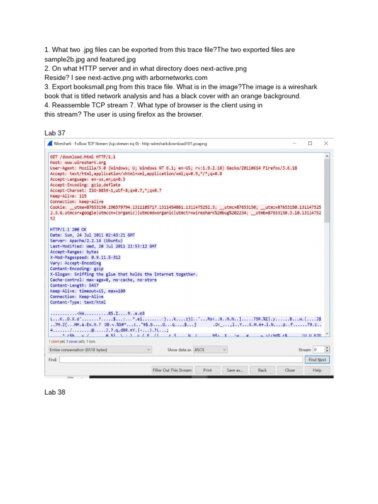 Wireshark Chapter 6 Labs and Challenge | PDF