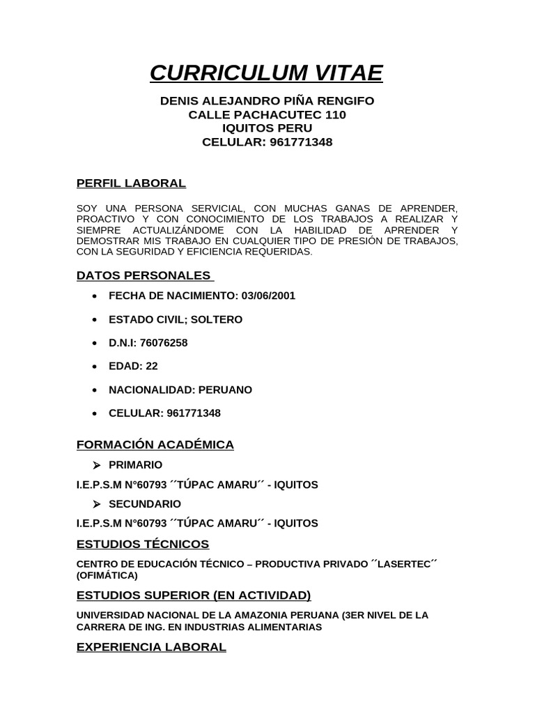 Curriculum Vitae Denis Piña | PDF