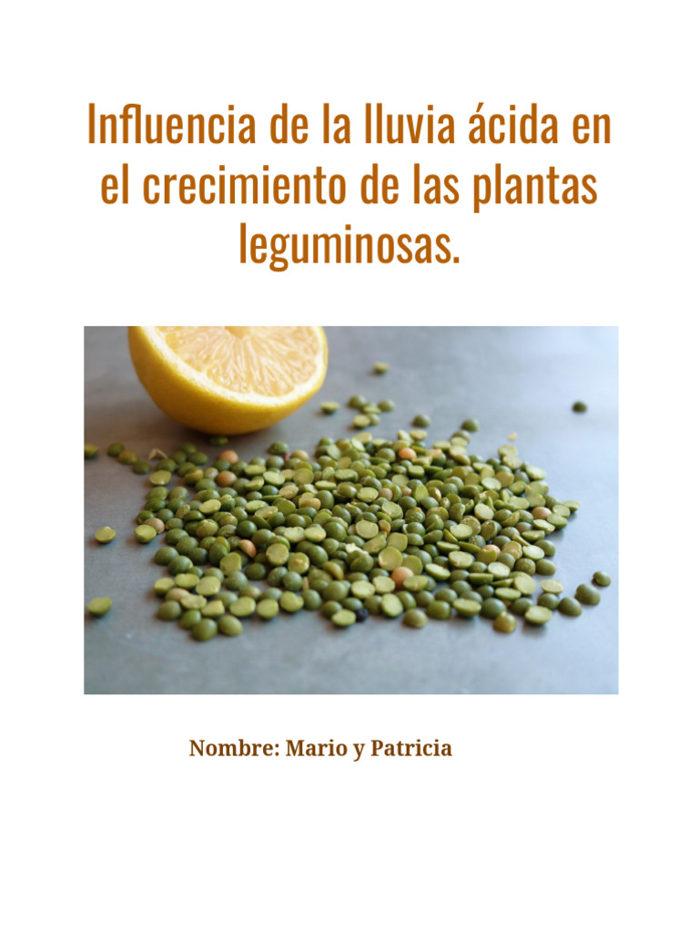 Copia de RUI XU - Informe | PDF