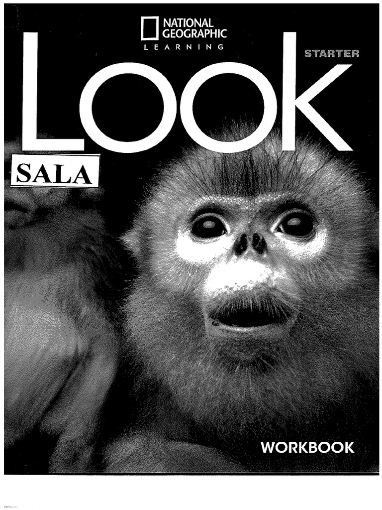 Look Starter Workbook | PDF