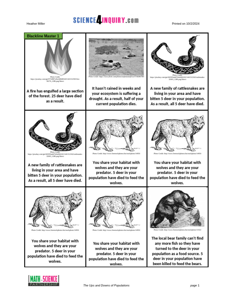 Blackline Master 1: Heather Miller Printed On 10/2/2024 | PDF