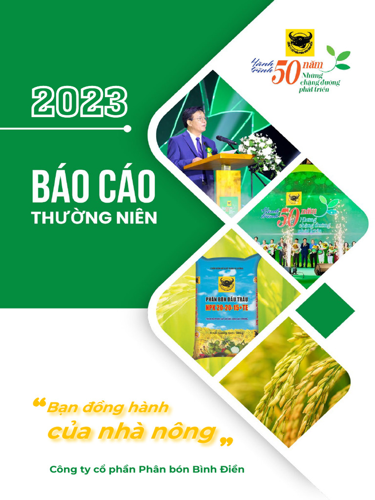 File 1 4155 20240403 - BFC - BCTN Nam 2023 | PDF