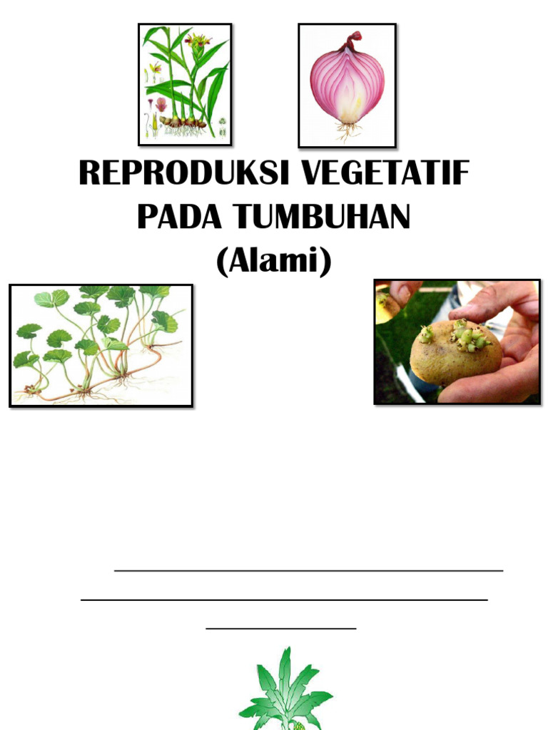 Repro 1564794134 | PDF