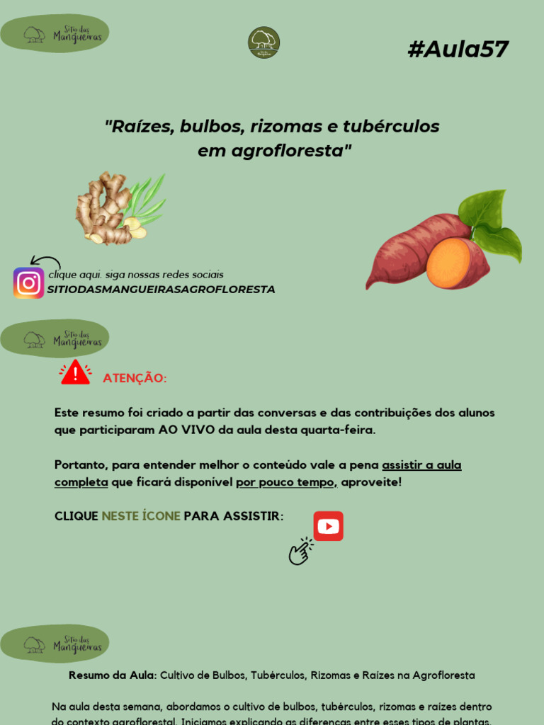 AULA 57 - raízes, bulbos, rizomas e tuberculos | PDF