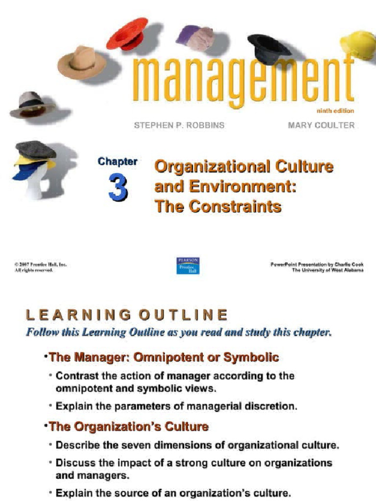 chapter-3-management-9-th-edition-by-robbins-and-coulter | PDF