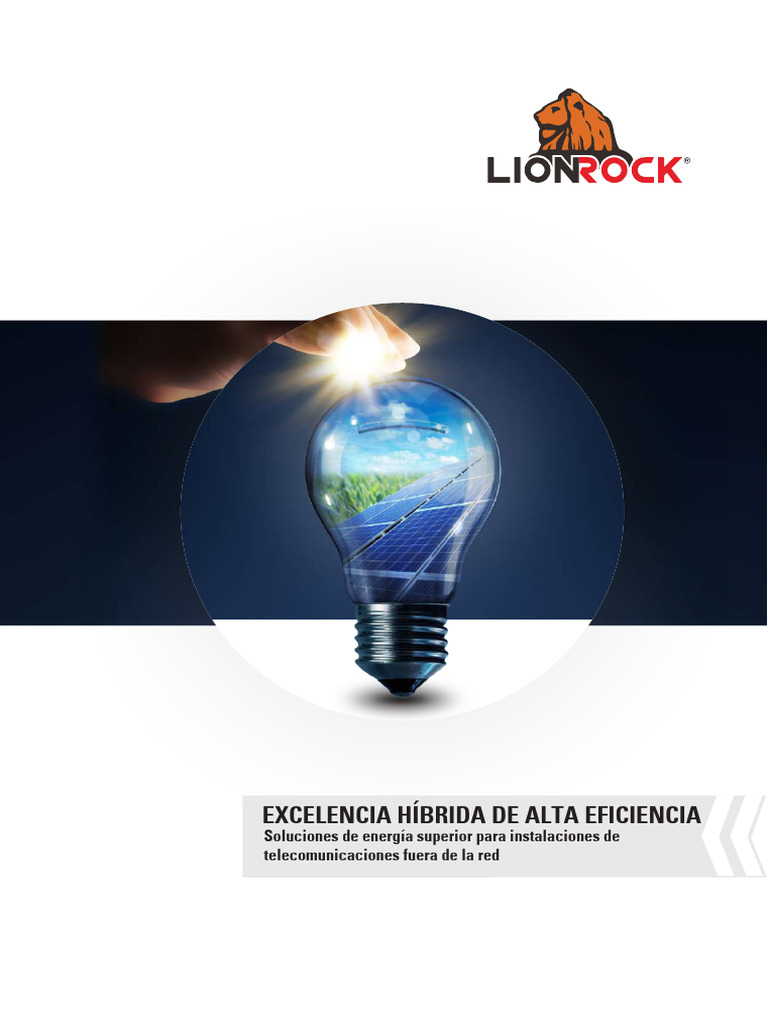 LionRock | PDF