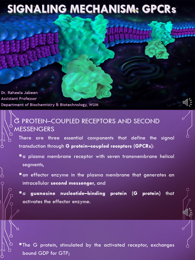 SIGNALING MECHANISM-GPCRs PART 1 | PDF