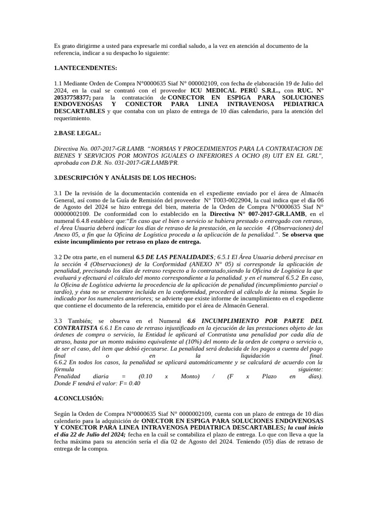 Informe de Penalidad 2024 | PDF