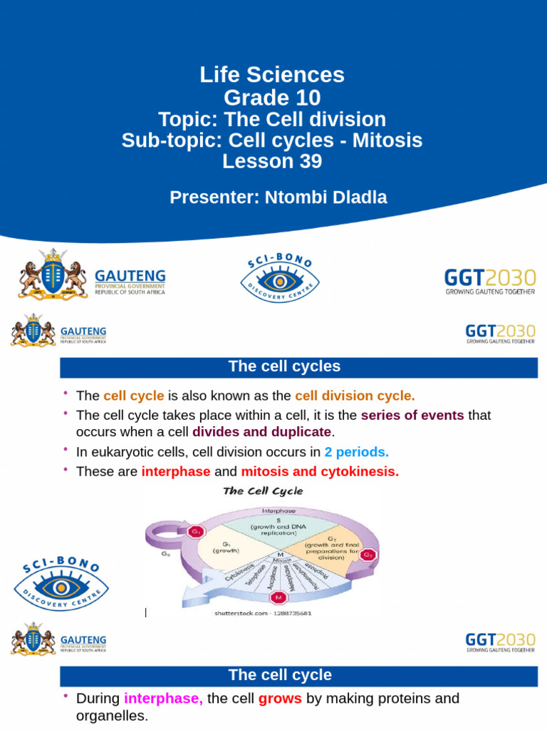 Life Sciences Gr.10 Lesson 39 Cell Division (the Phases of Mitosis) | PDF