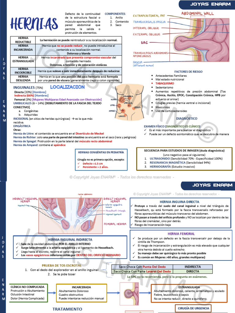 Hernias | PDF