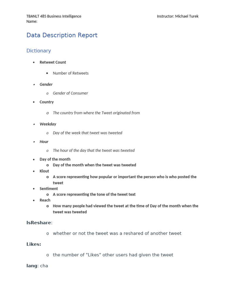 DataDescriptionReport Template | PDF