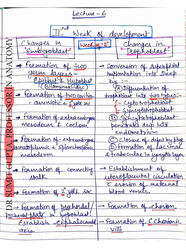 2nd Week Of Development Watermarked Pdf