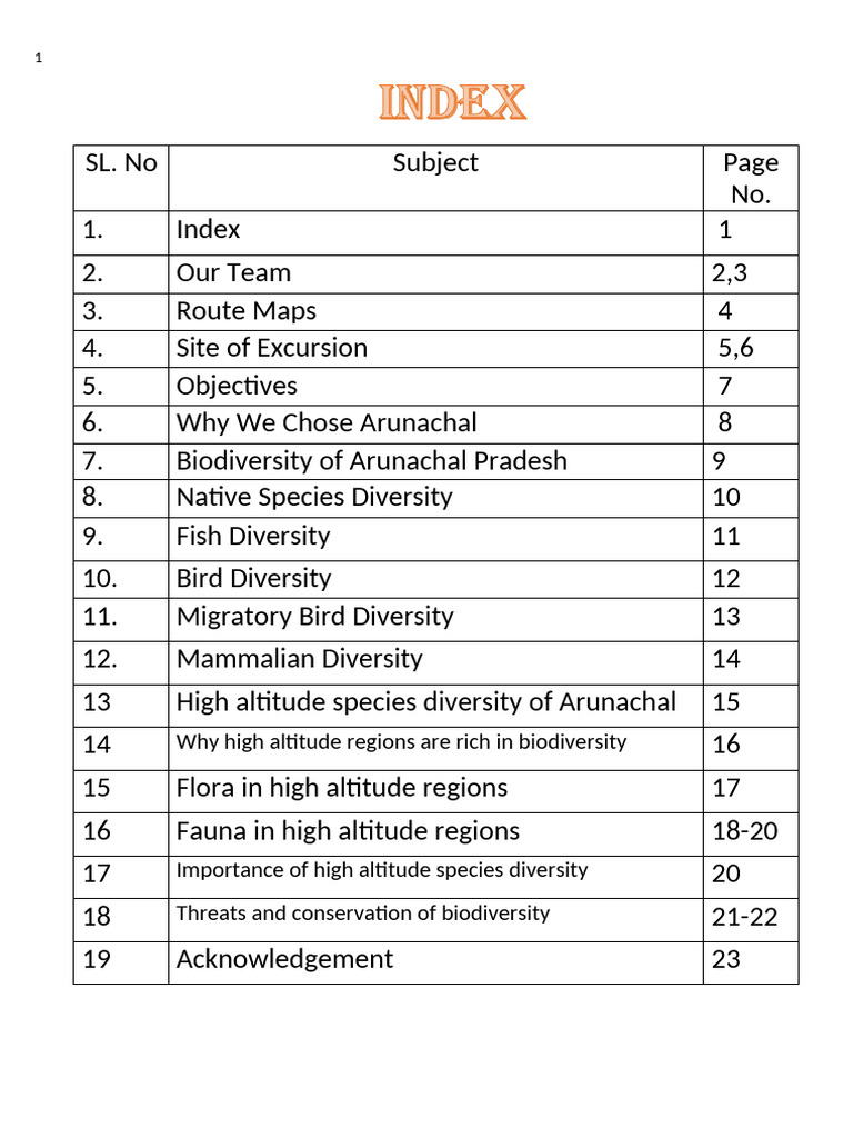 Didi Ka Project | PDF