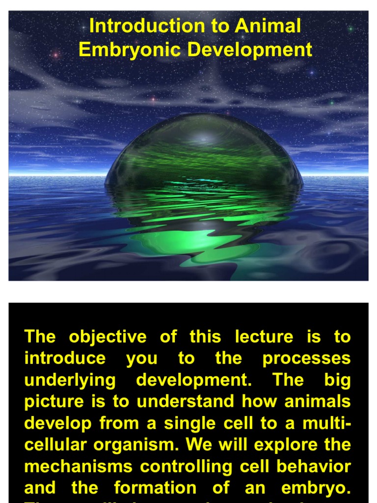 Overview of Embryology Concepts | PDF | Fertilisation | Embryo