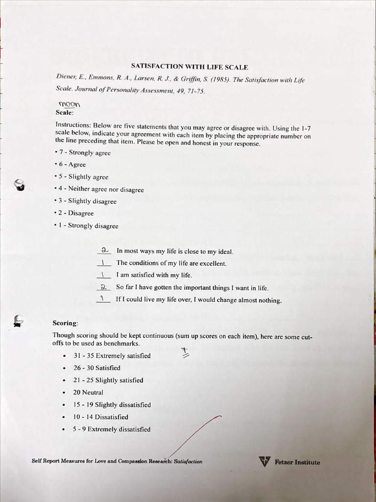 Satisfaction with Life Scale | PDF