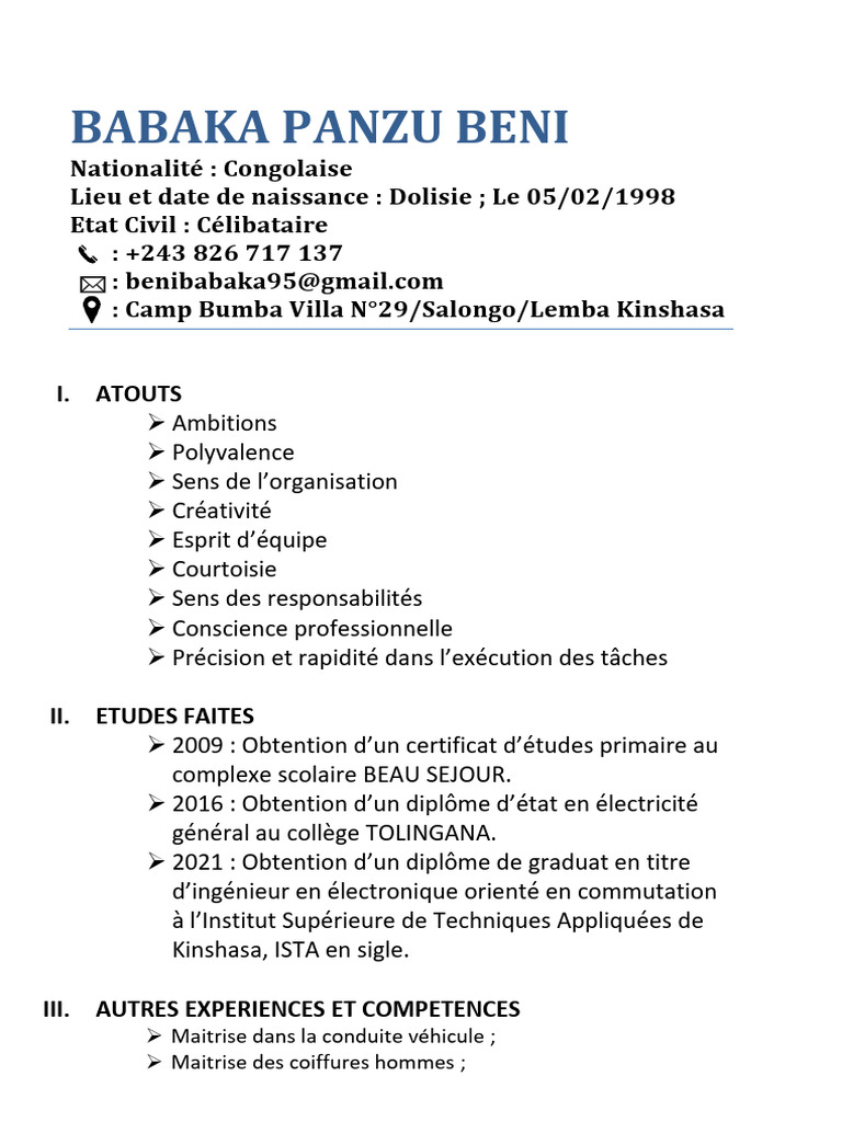 Babaka Panzu Béni CV | PDF