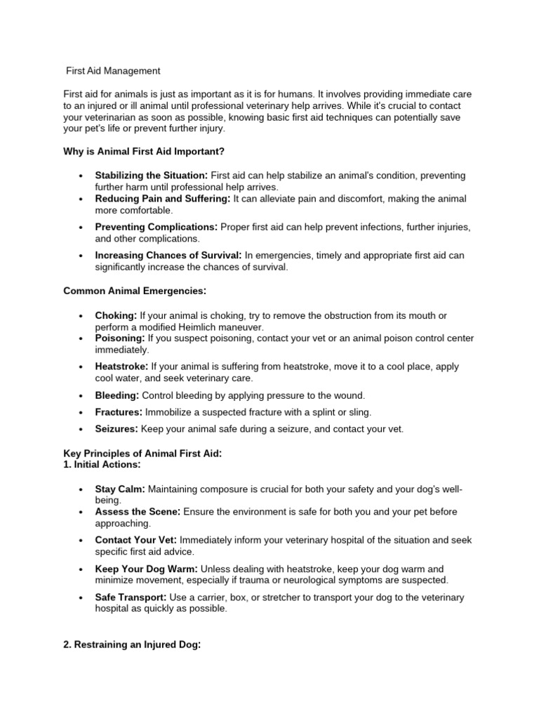 First Aid Management | PDF