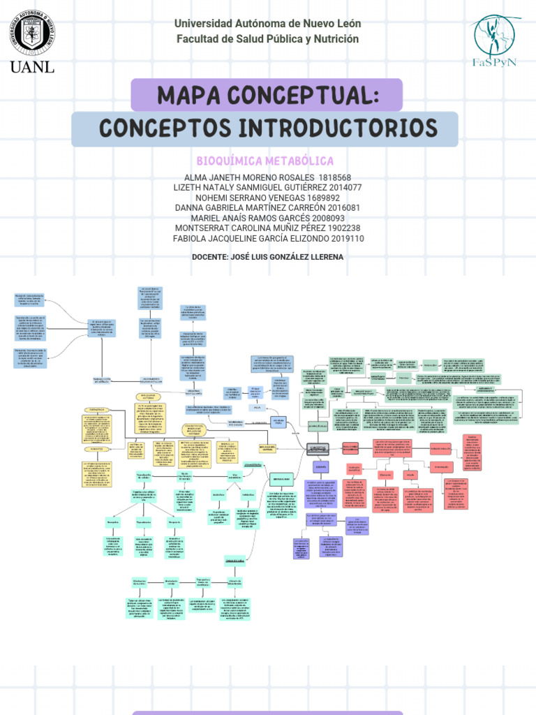 MAPA CONCEPTUAL- CONCEPTOS INTRODUCTORIOS (1) | PDF