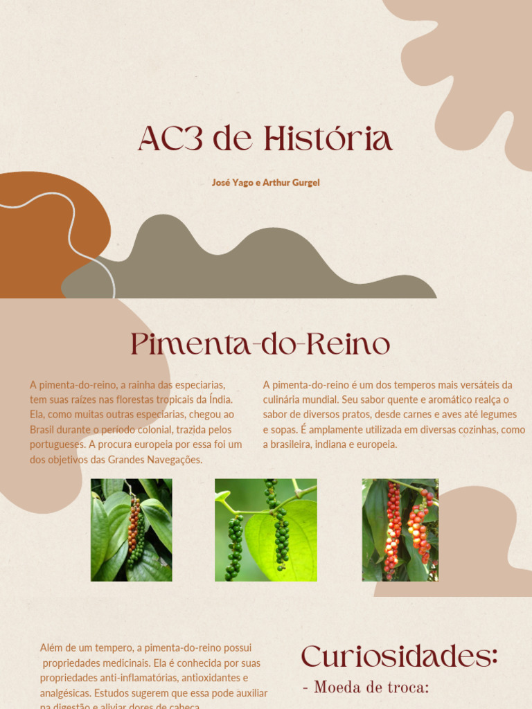 AC3 de História - 20240905 - 065939 - 0000 | PDF