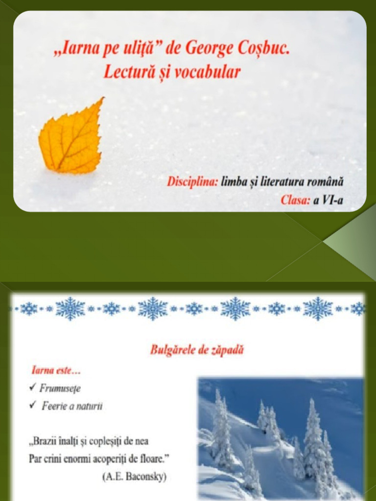 Iarna Pe Ulita Lec.1 | PDF