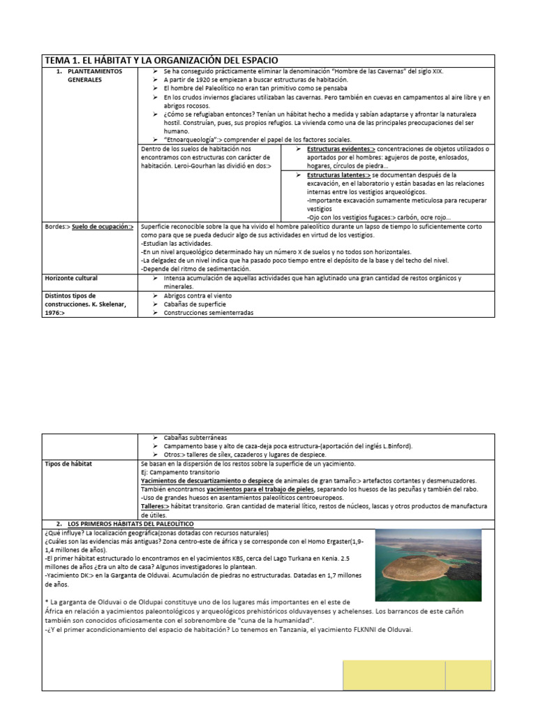 Tema 1. - El - H - Bitat - y - La - Organizaci - N - Del - Espacio | PDF