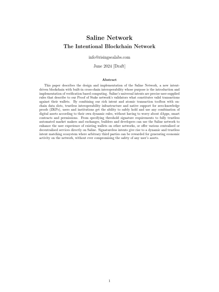 Saline Whitepaper+ | PDF | Formal Verification | Computers