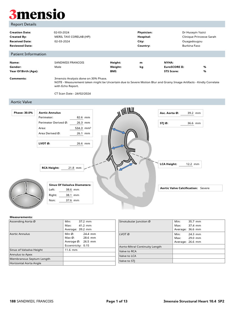 3mensio Report 30% S F DR Huseyin Yazici Clinique Princesse Sarah ...