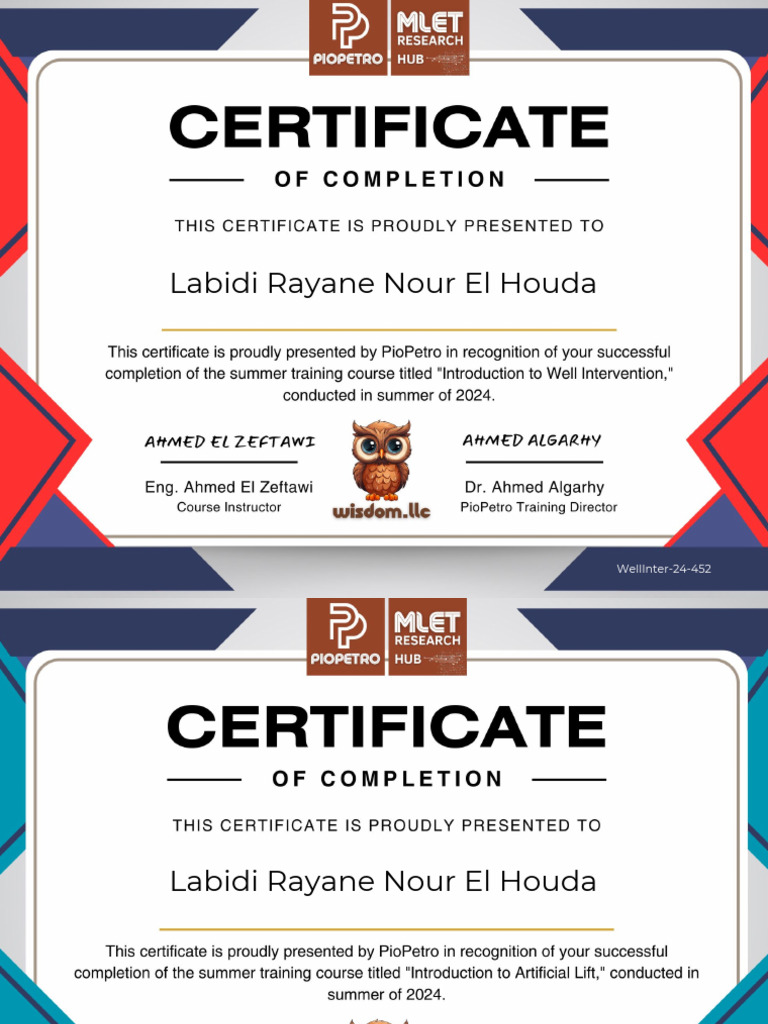 Summer Trainings Certificates | PDF