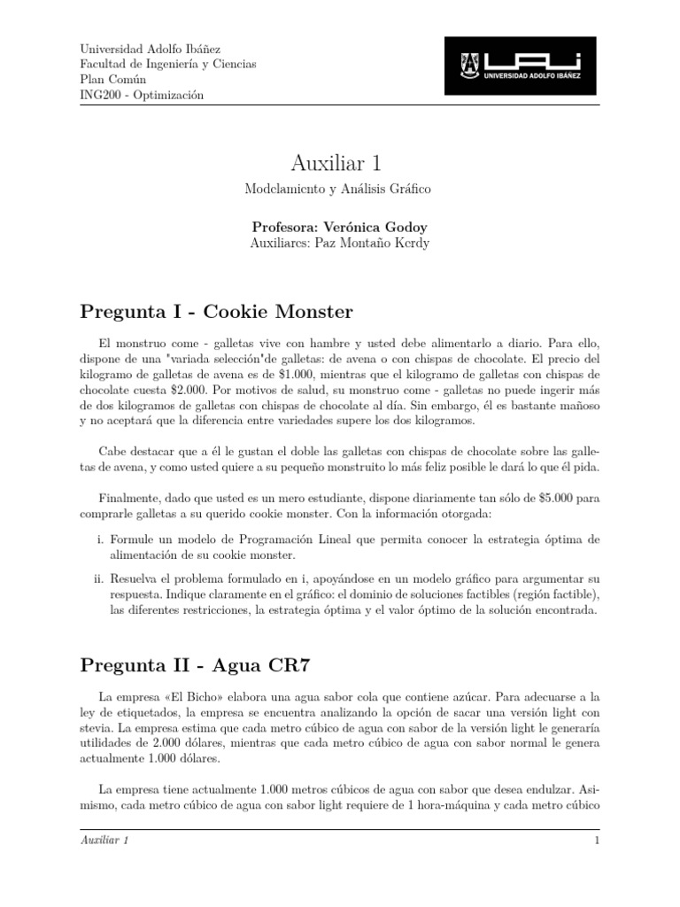 Enunciado Auxiliar 1 OPTIMIZACIÓN | PDF