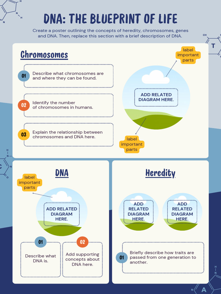 DNA The Blueprint of Life Educational Poster in 0 Hand Drawn Lightly ...