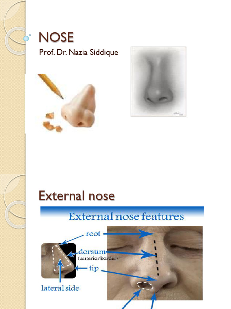 Nose PDF | PDF