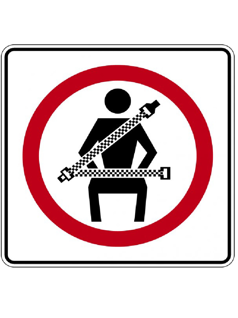 Sinturon de Seguridad | PDF