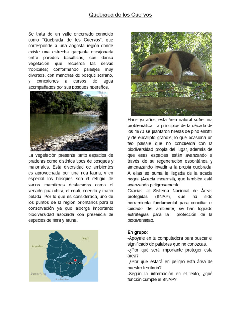 Quebrada de Los Cuervos | PDF