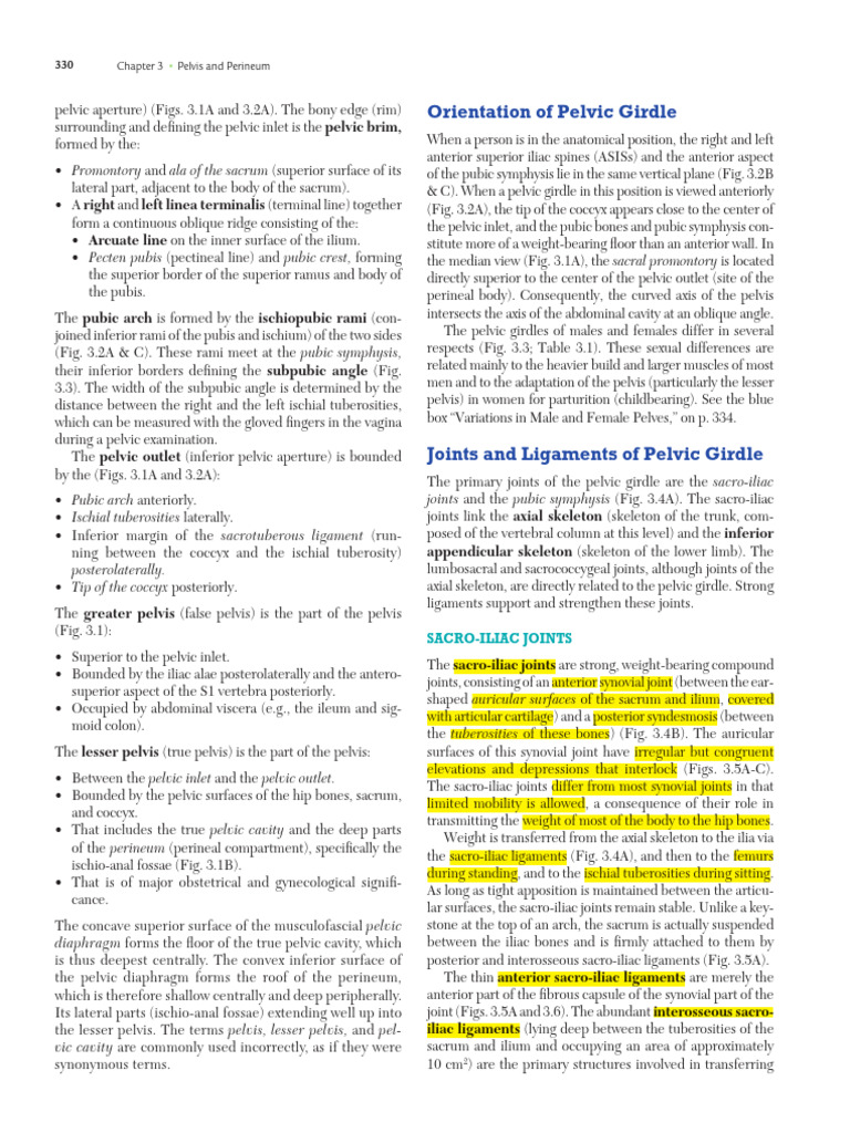 Joints Pelvic Girdle Pdf 8586